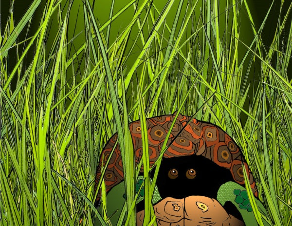 The Turtle Tank – Schifferbooks